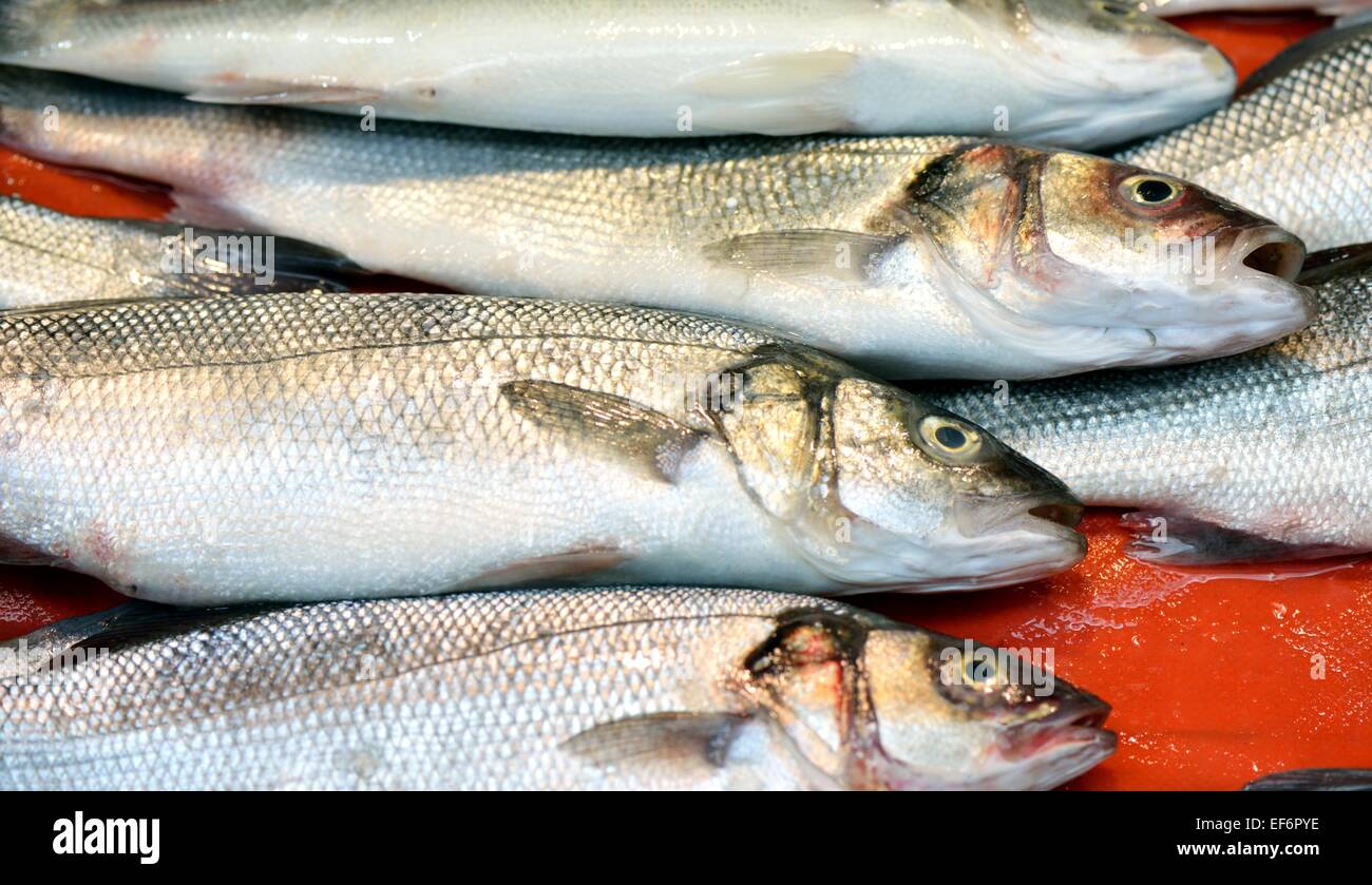 Fresh sea fish Stock Photo - Alamy