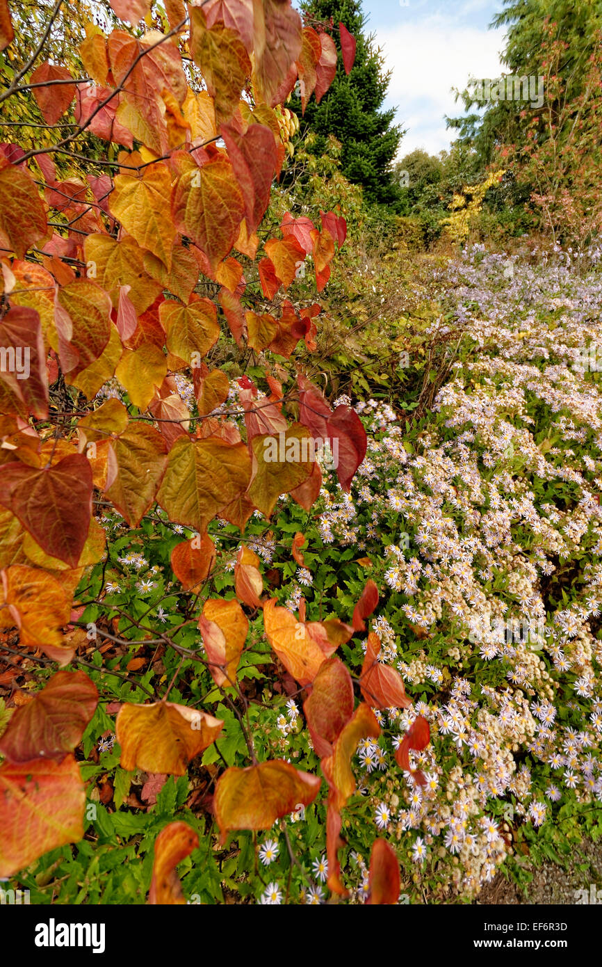 Beautiful and colourful floral and fauna designs at Ness Gardens ...