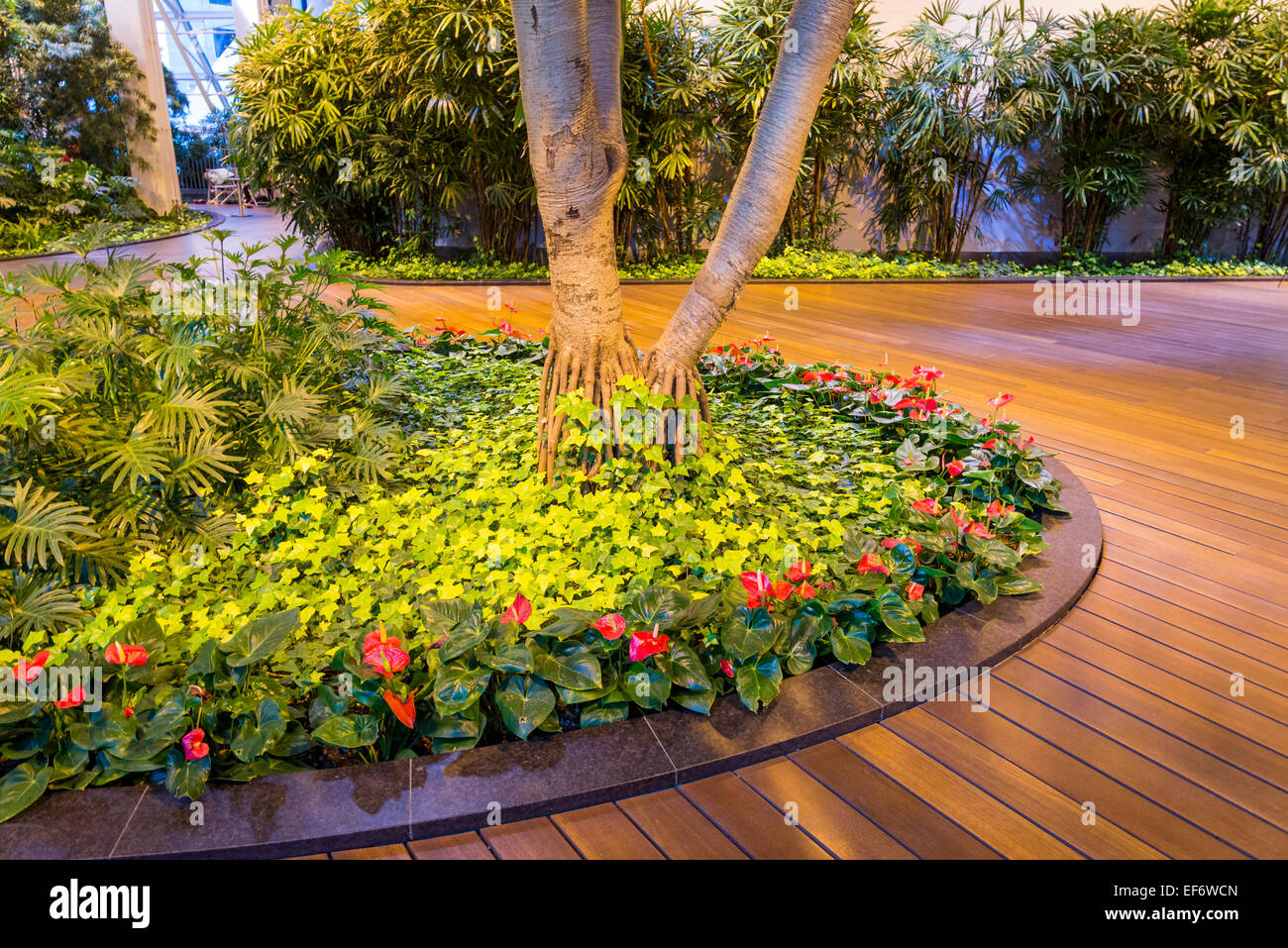 The Devonian Gardens, year round indoor Park, Calgary, Alberta, Canada ...