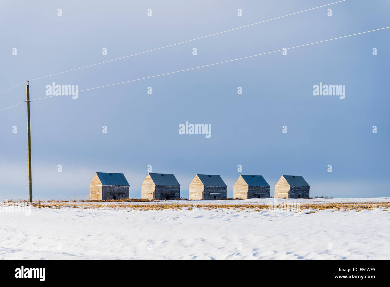 Rowan row hi-res stock photography and images - Alamy