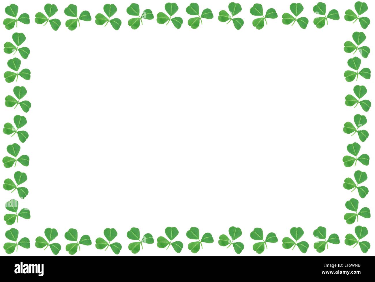 St Patricks Day shamrock frame over a white background Stock Photo - Alamy