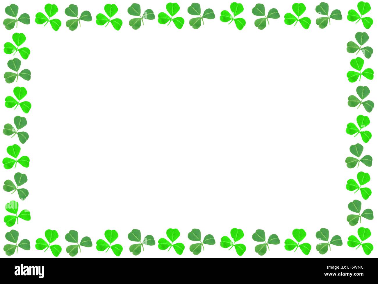Celtic Shamrock Border