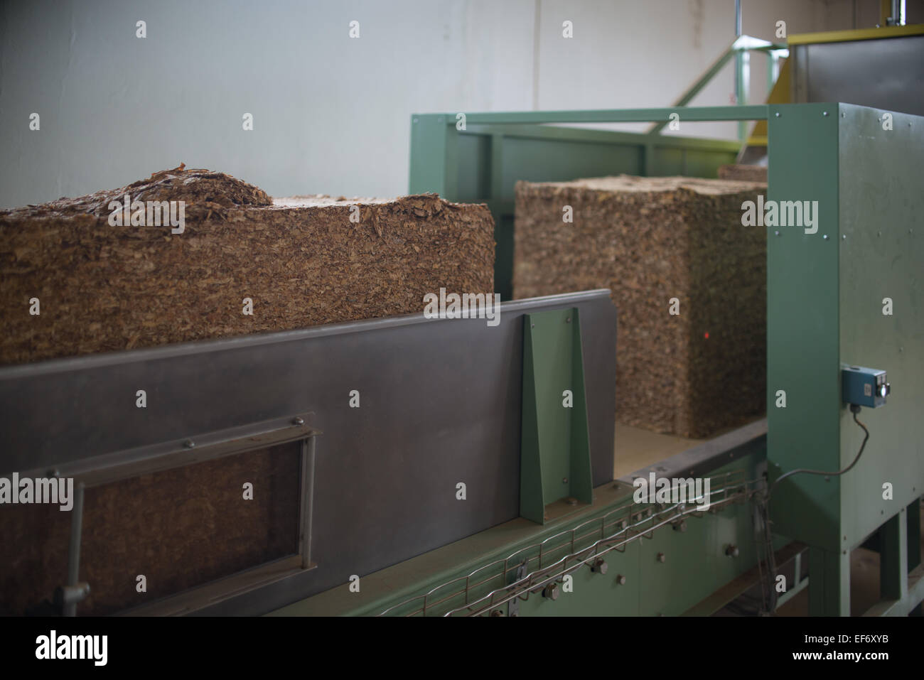 Bulk tobacco cubes inside a production line in a cigarette factory ...