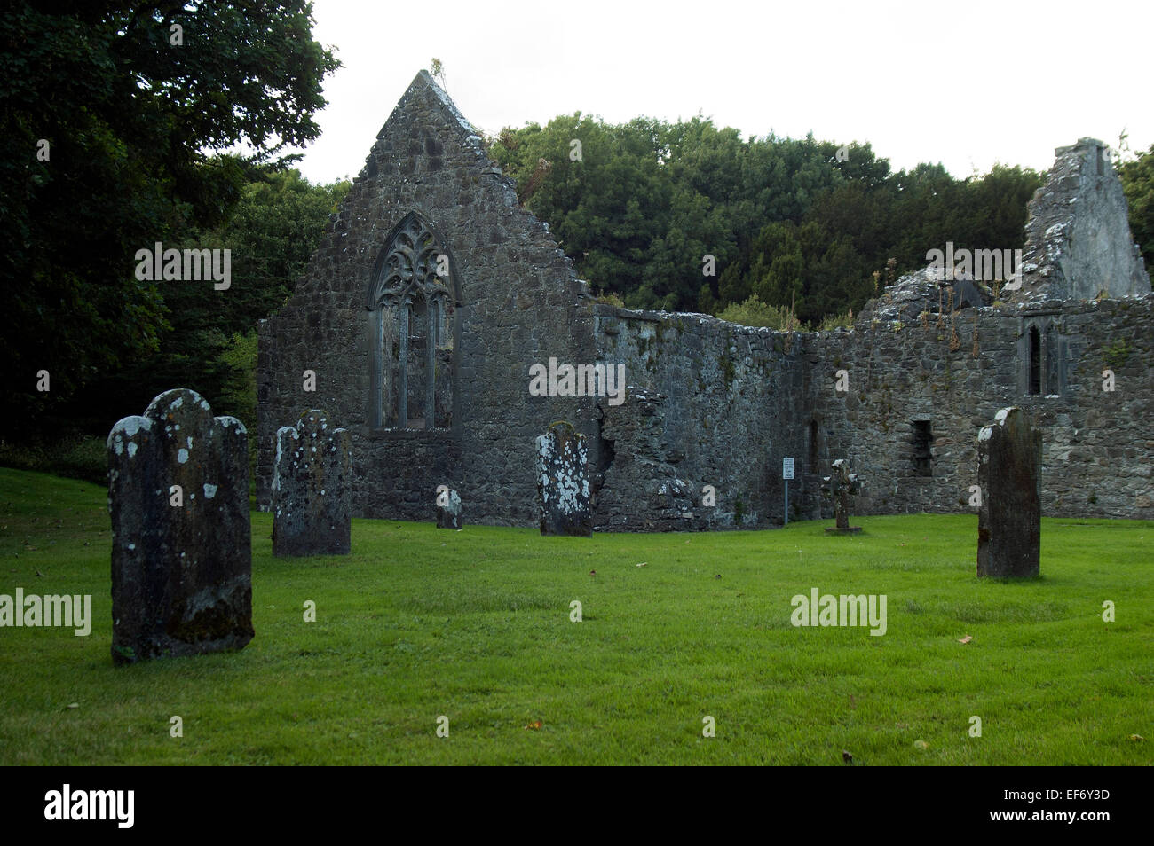 Portumna Friary, County Galway, Ireland Stock Photo - Alamy