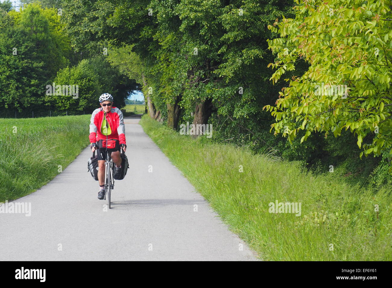 Touring male cyclist riding on a path way in Switzerland Stock Photo ...