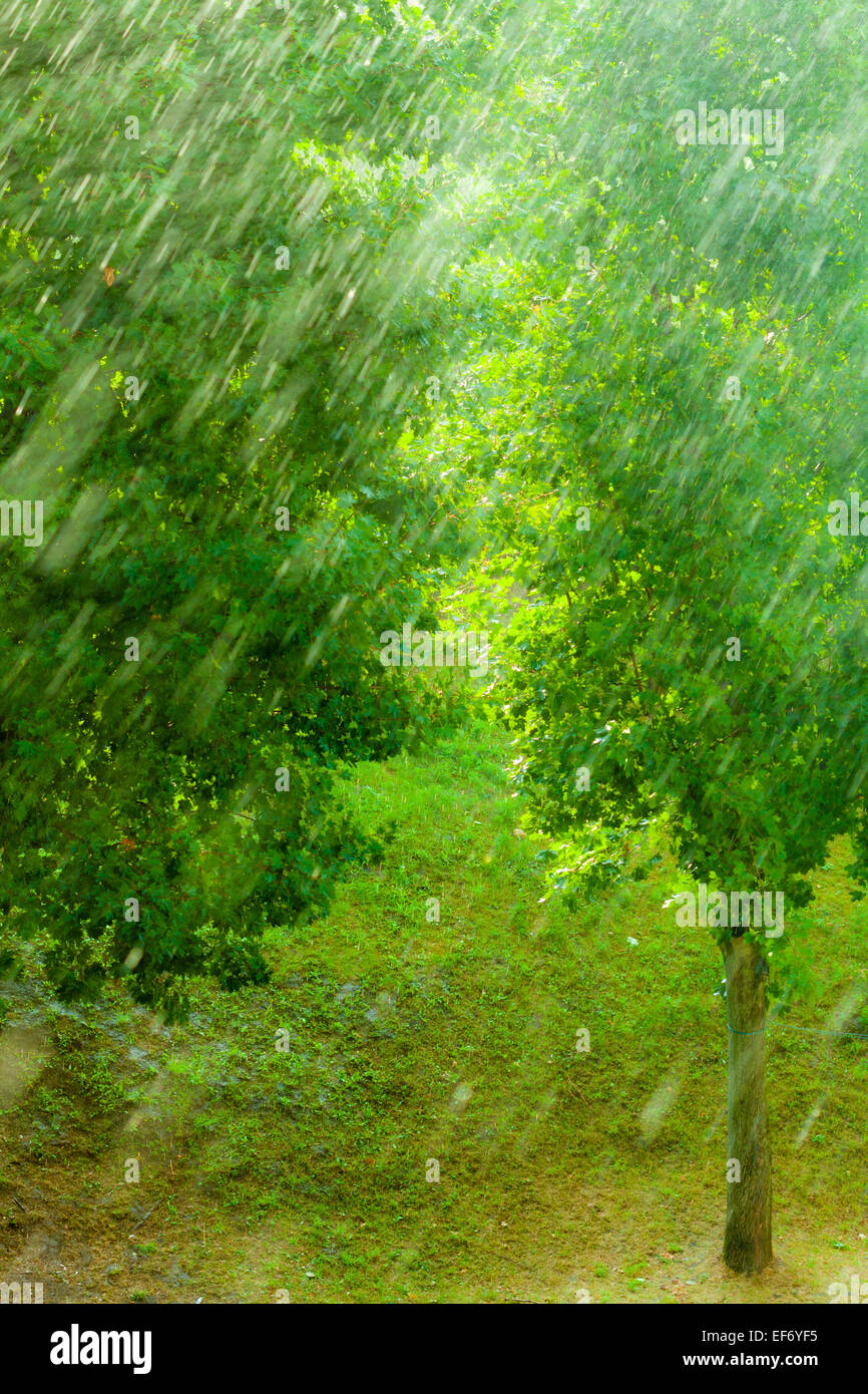 Summer rainy outside window, water drops droplets raindrops on glass windowpane as background ...