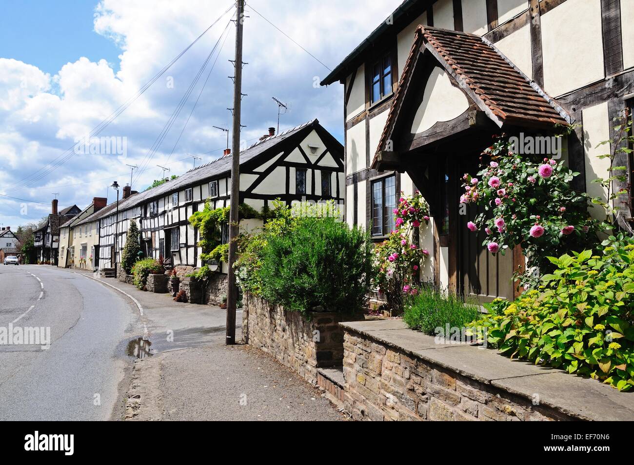 Traditional white timbered buildings along East Street, Pembridge ...