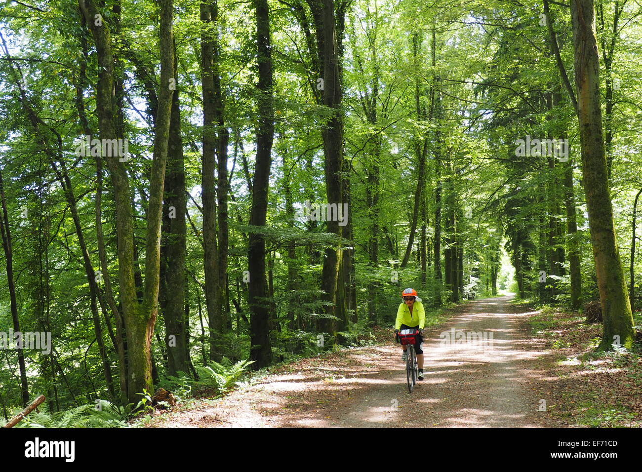 Swiss female cyclist hi-res stock photography and images - Alamy