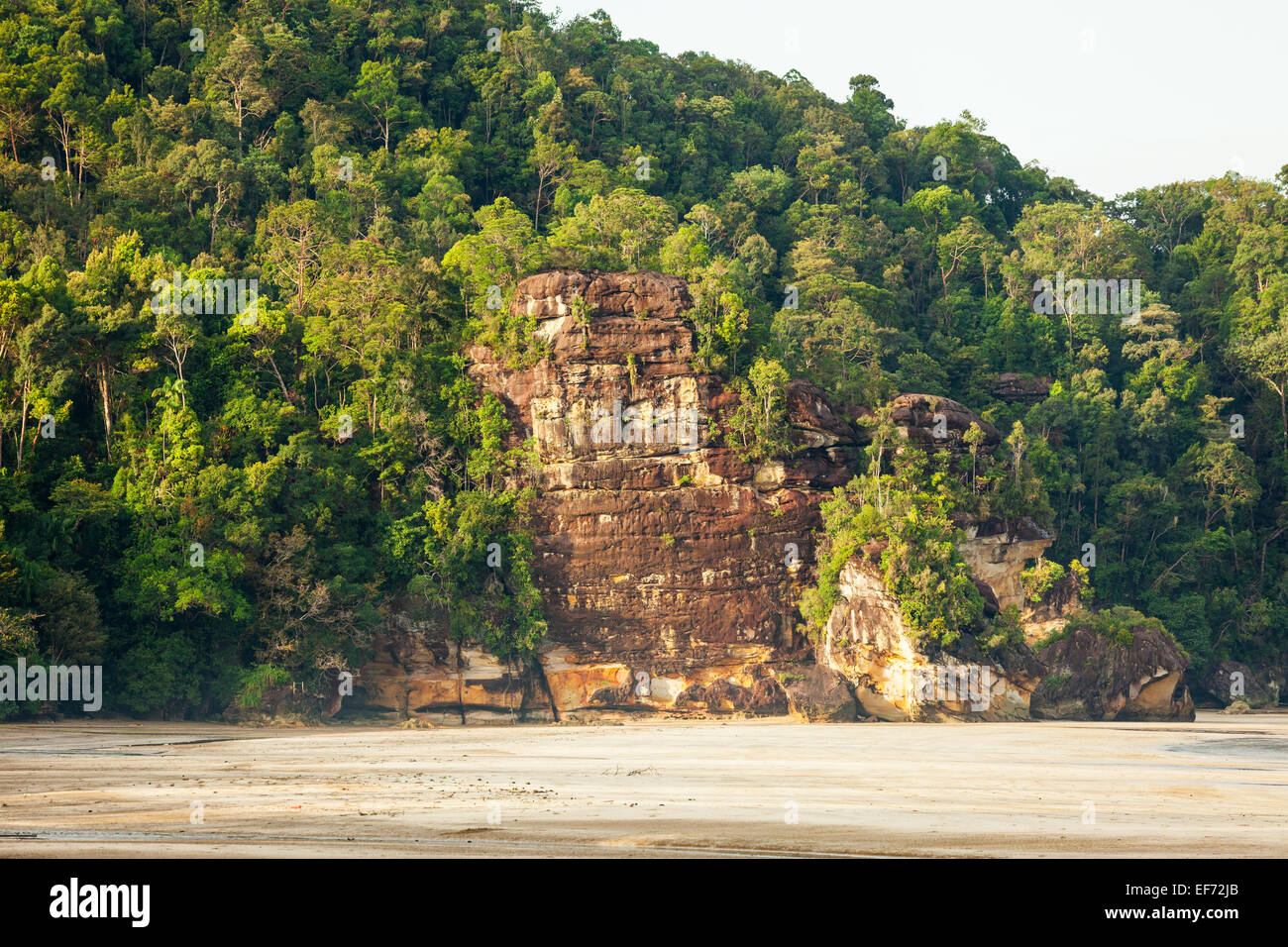 Cliff jungle hi-res stock photography and images - Alamy