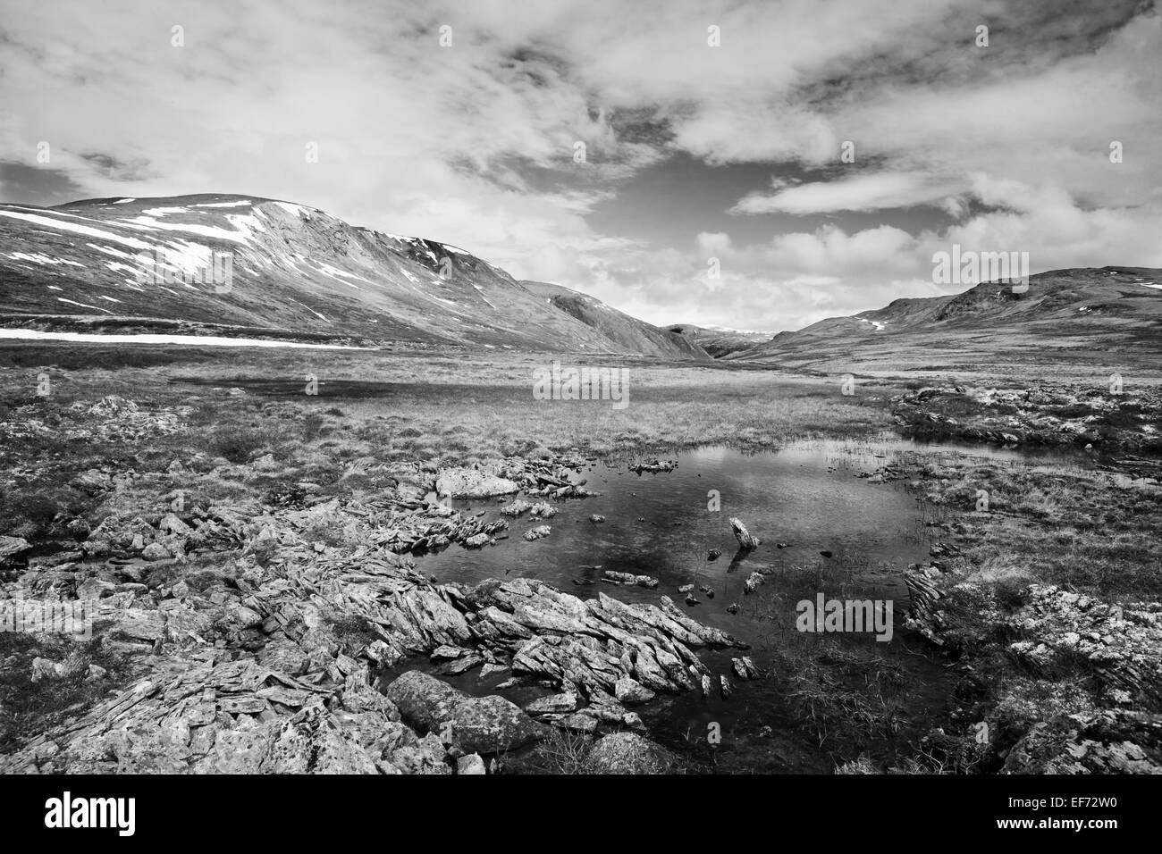Pond created by melting snow Stock Photo - Alamy