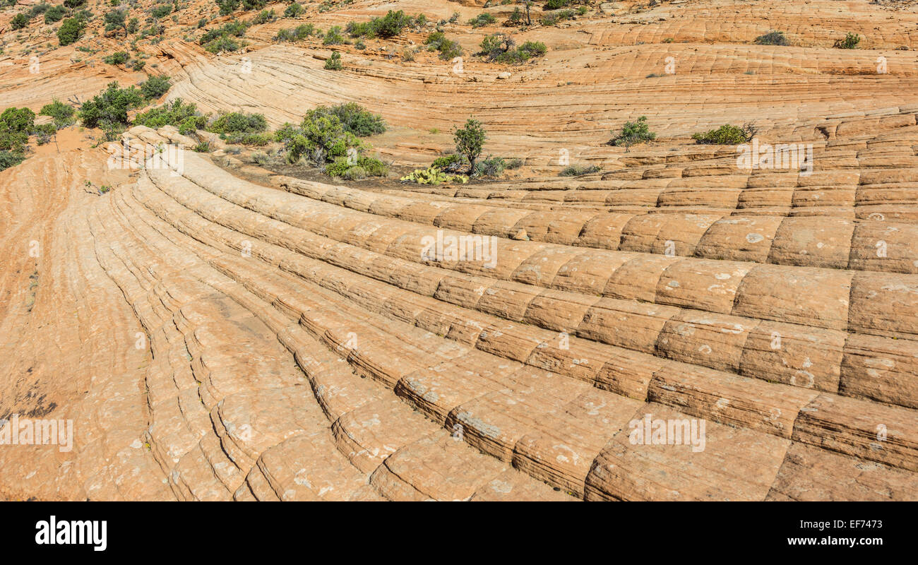 Candy Cliffs, rock formations, Washington, Utah, United States Stock ...