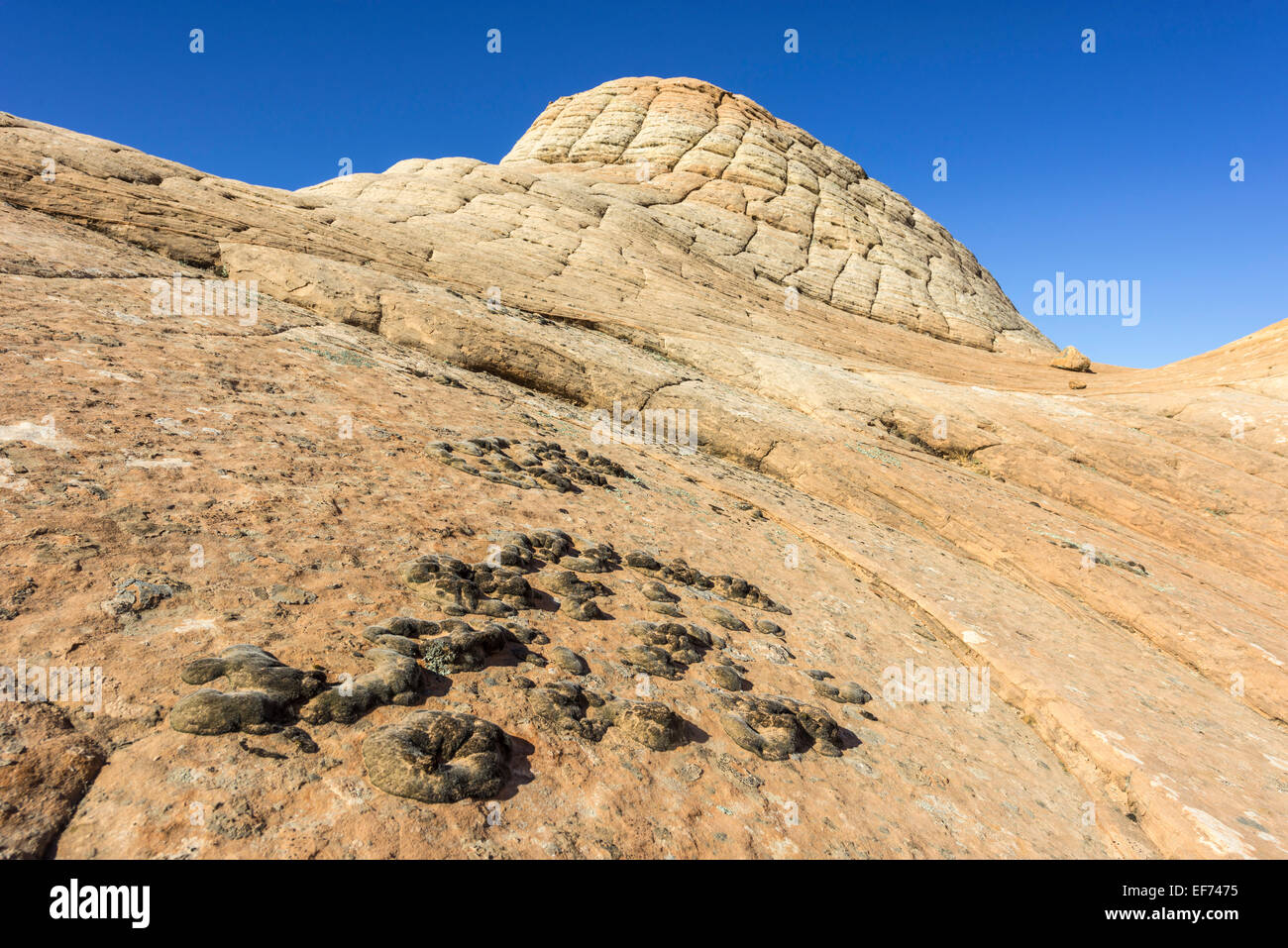 Candy Cliffs, rock formations, Washington, Utah, United States Stock ...