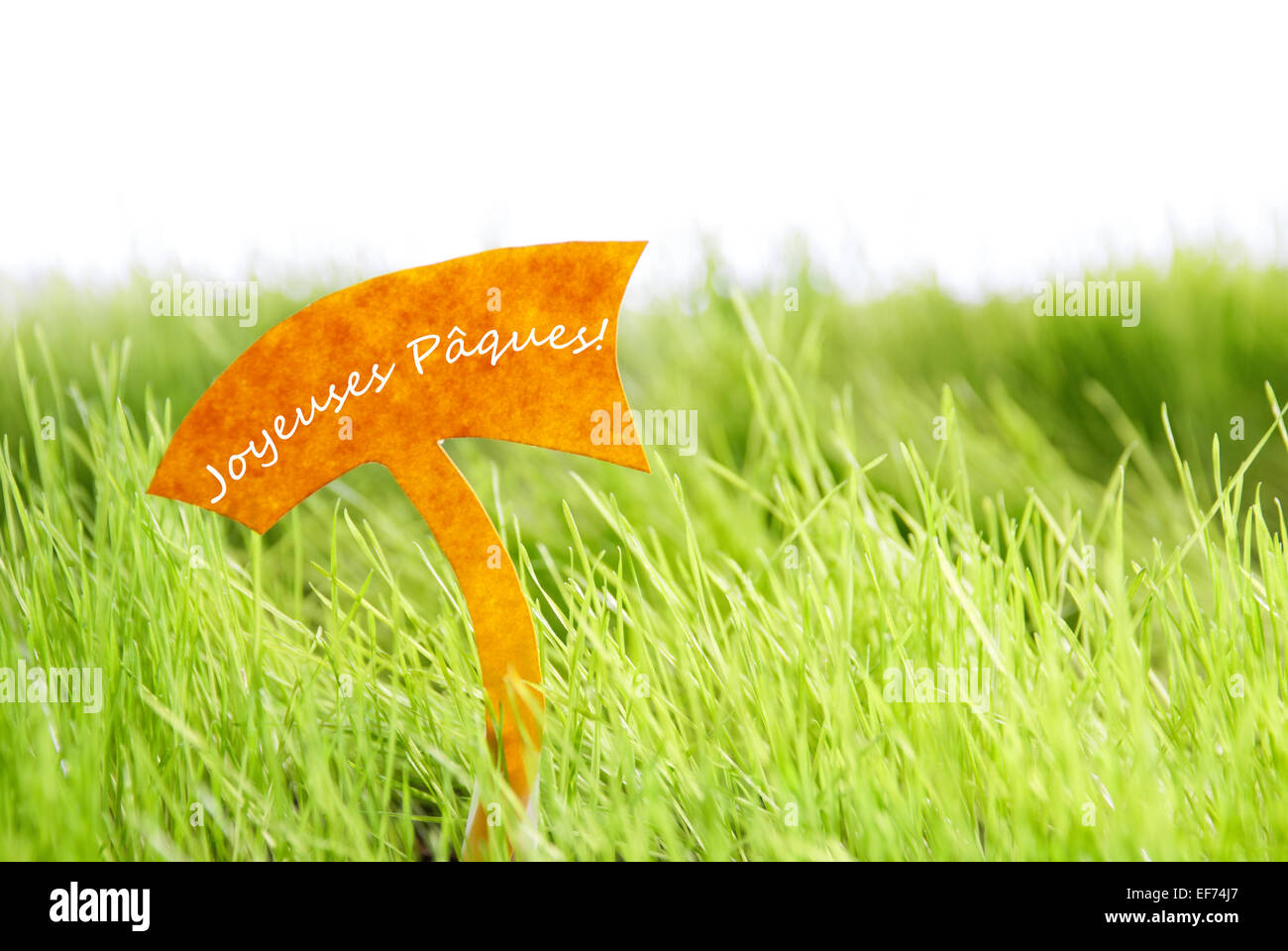 Joyeuses pâques happy easter french hi-res stock photography and images ...