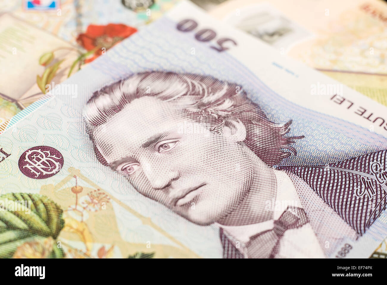 Romanian Lei Banknotes Close Up Stock Photo - Alamy