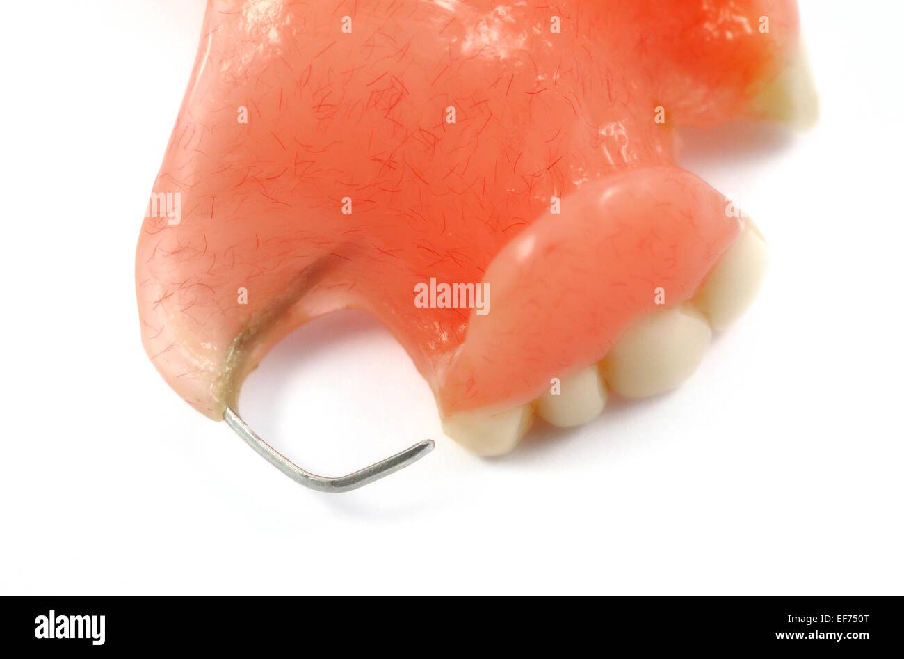Denture hi-res stock photography and images - Alamy