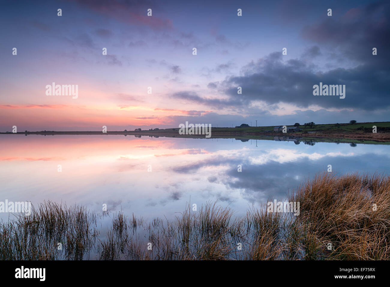 Dozmary Pool on Bodmin Moor in Cornwall Stock Photo - Alamy