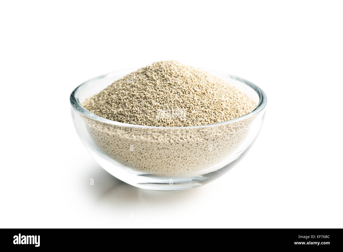 Dry Yeast Powder