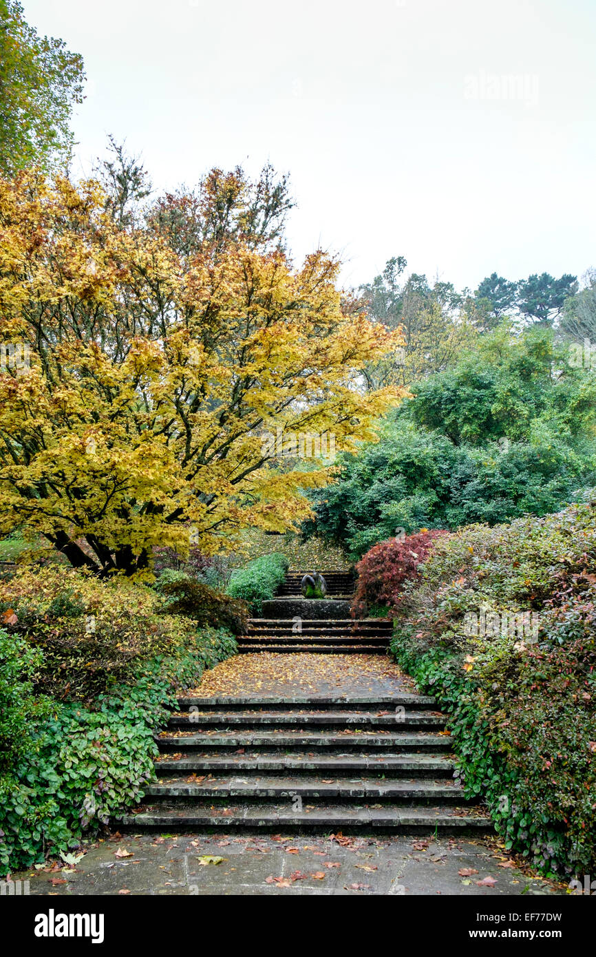 Steps in fall of autumn hi-res stock photography and images - Alamy