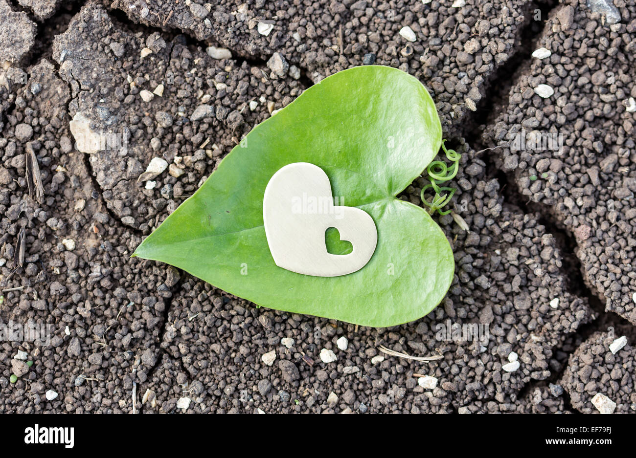 A metal heart with a small heart inside it is placed on dry soil Stock ...