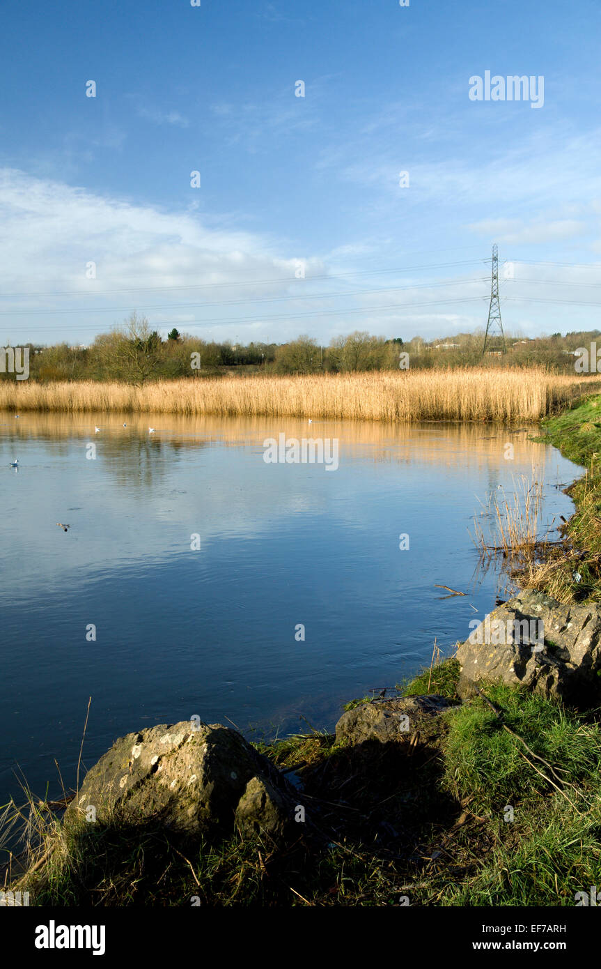 River Rhymney from the Rhymney Trail, Rumney, Cardiff, South Wales, UK ...