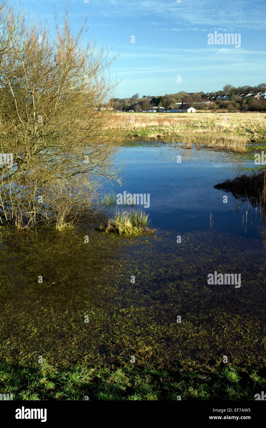 Rumney hi-res stock photography and images - Alamy