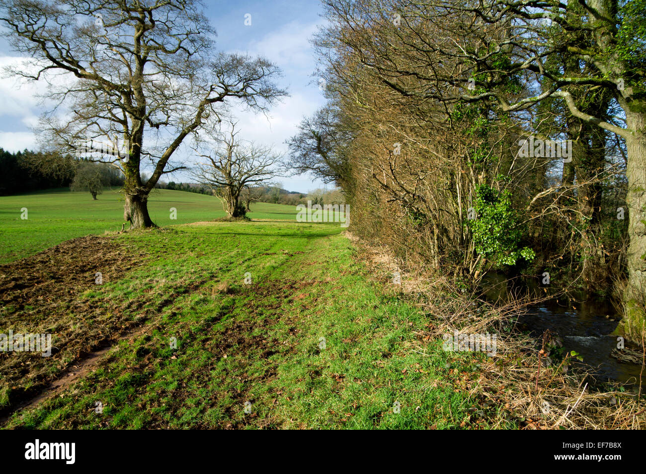 Rymney hi-res stock photography and images - Alamy
