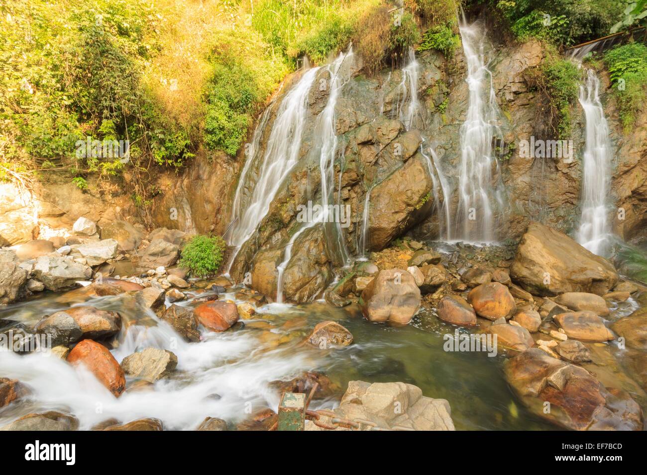 Vietnam cat tien national park hi-res stock photography and images - Alamy