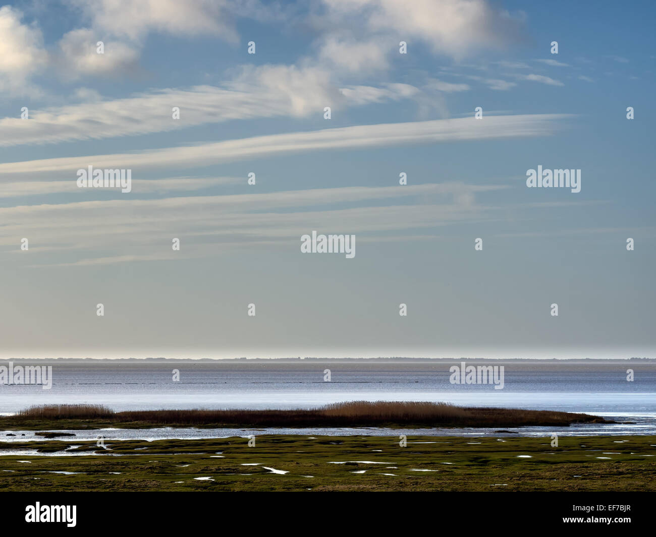 Wadden sea near Esbjerg in Denmark Stock Photo - Alamy