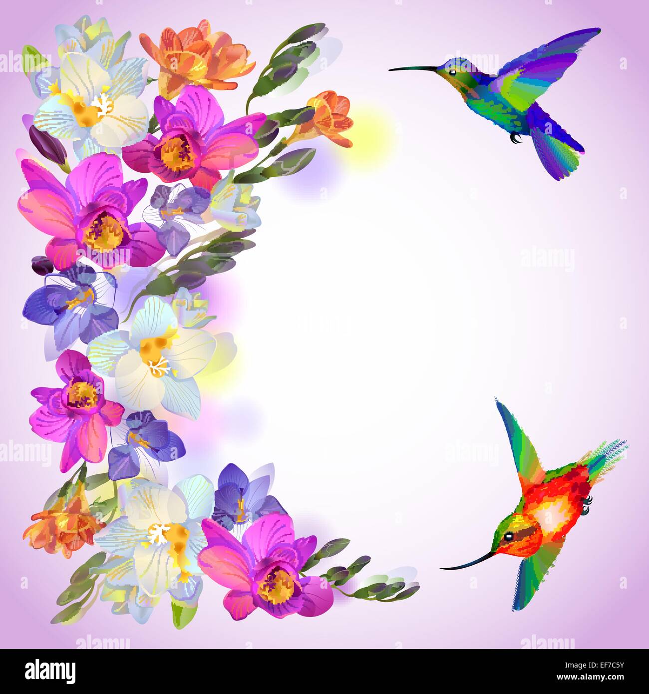 Vector lilac greeting background with flitting humming-bird with and ...