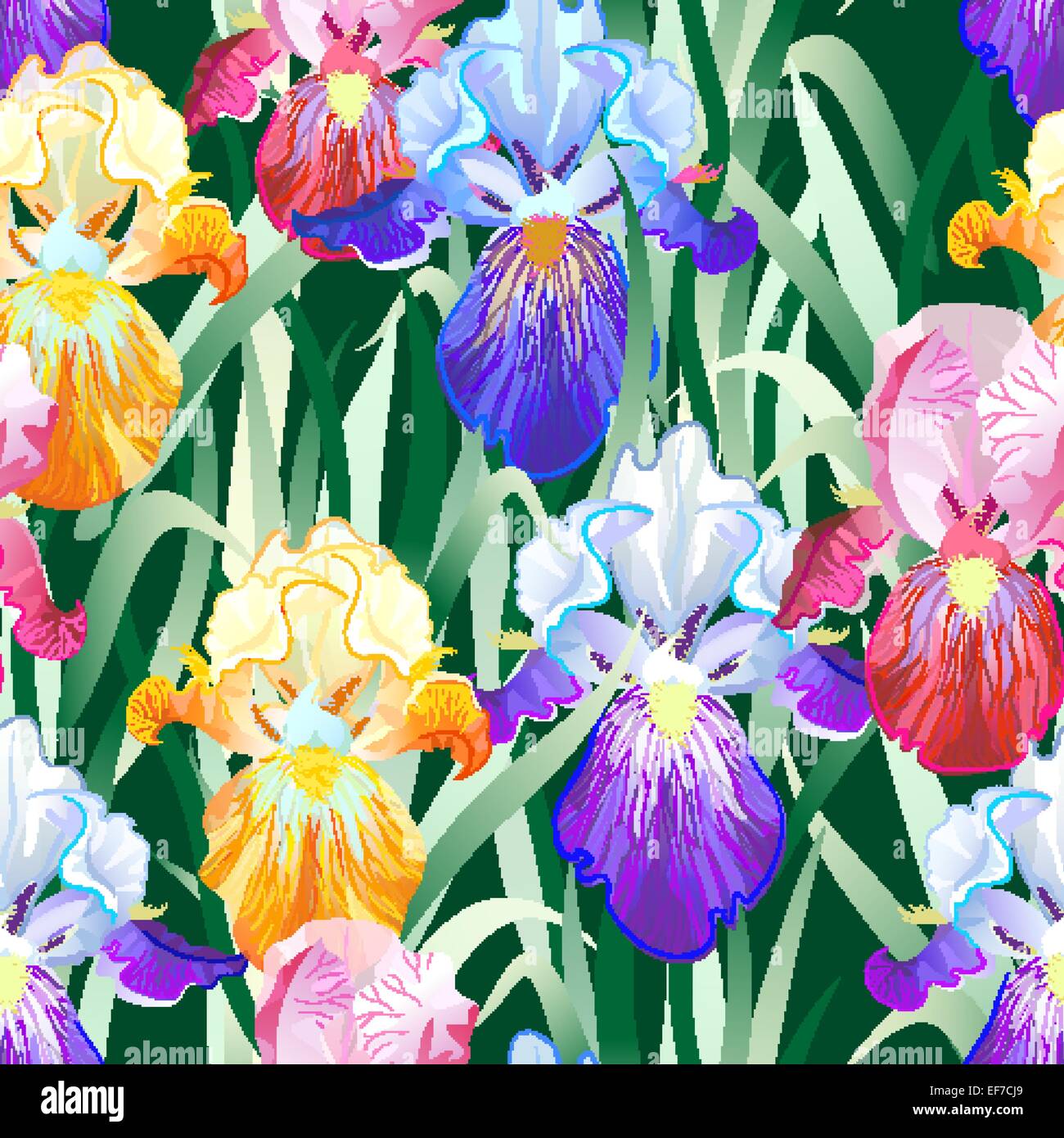 Iris happy birthday hi-res stock photography and images - Alamy
