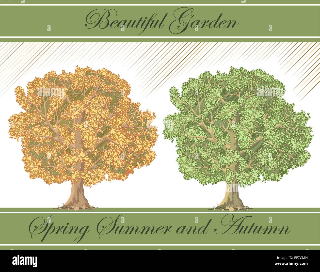 Grove vector vectors hi-res stock photography and images - Alamy