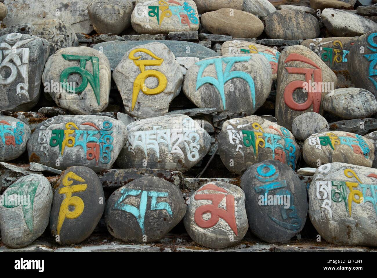 Tibetan colorful prayer stones with letters. Nepal Stock Photo - Alamy