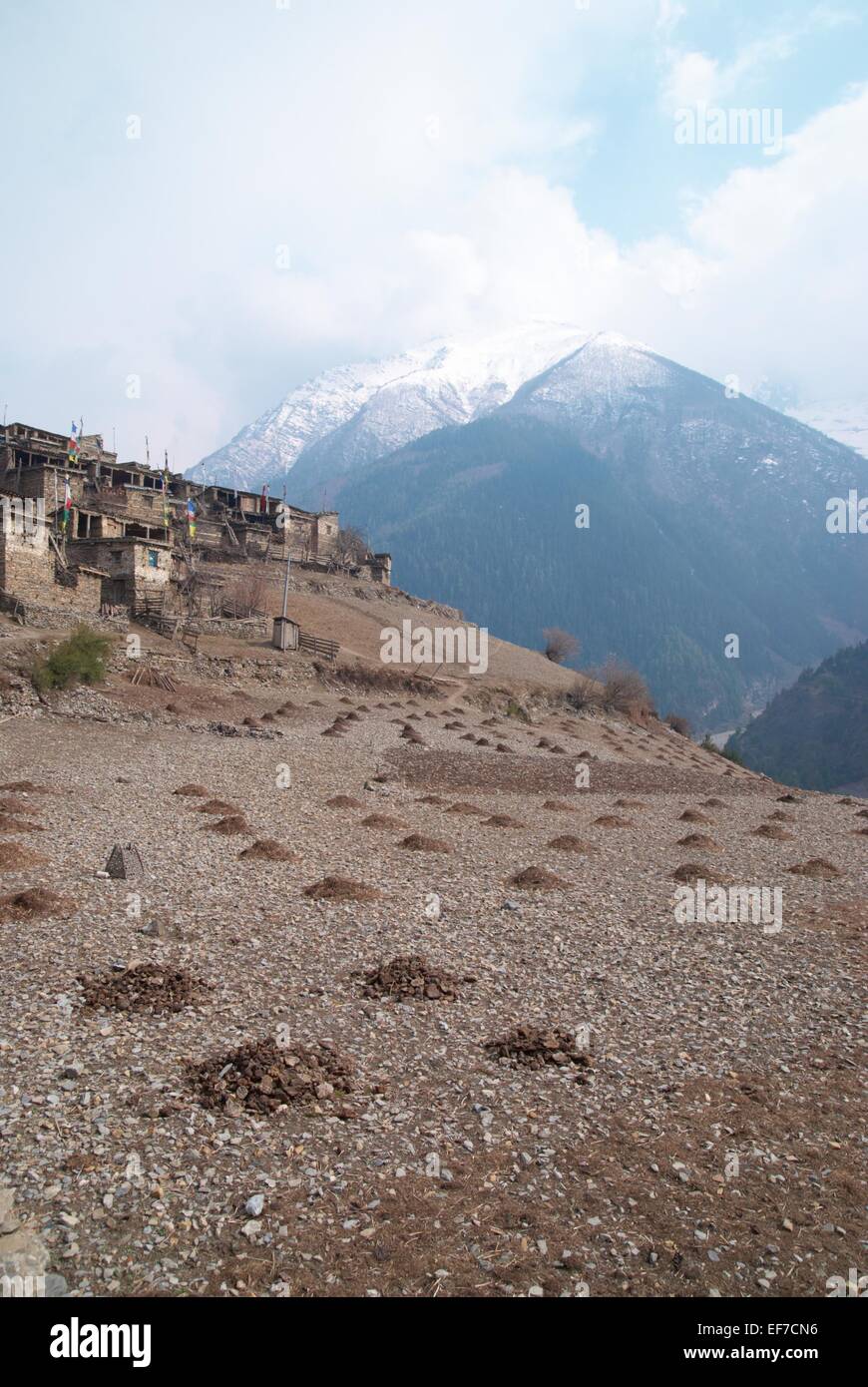 Tibetan mountain's landscape with sky, field and valley Stock Photo - Alamy