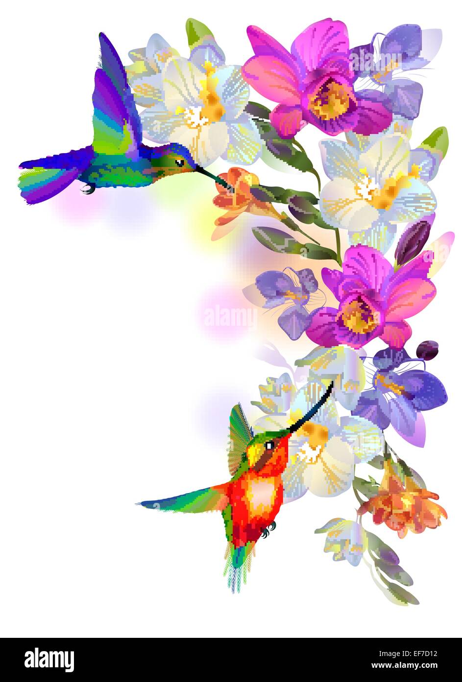 Vector greeting background with flitting humming-bird with gentle ...