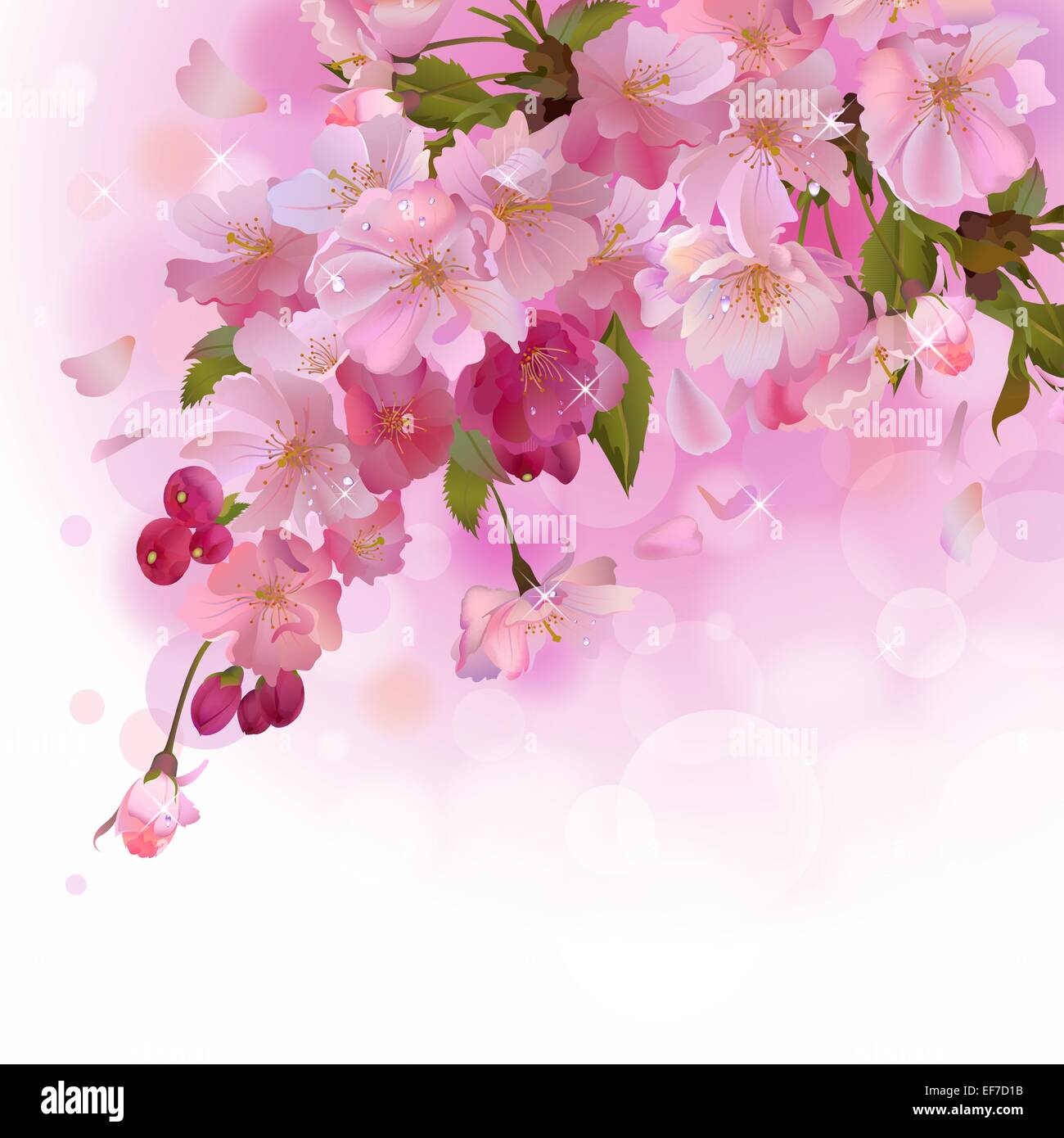 Vector spring background with gentle branch of beautiful flowers Stock ...