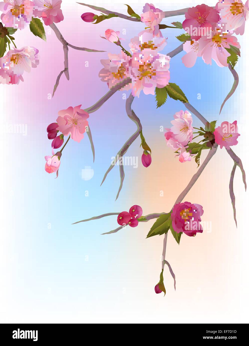 Vector background with gentle sakura branches of flowers Stock Vector ...