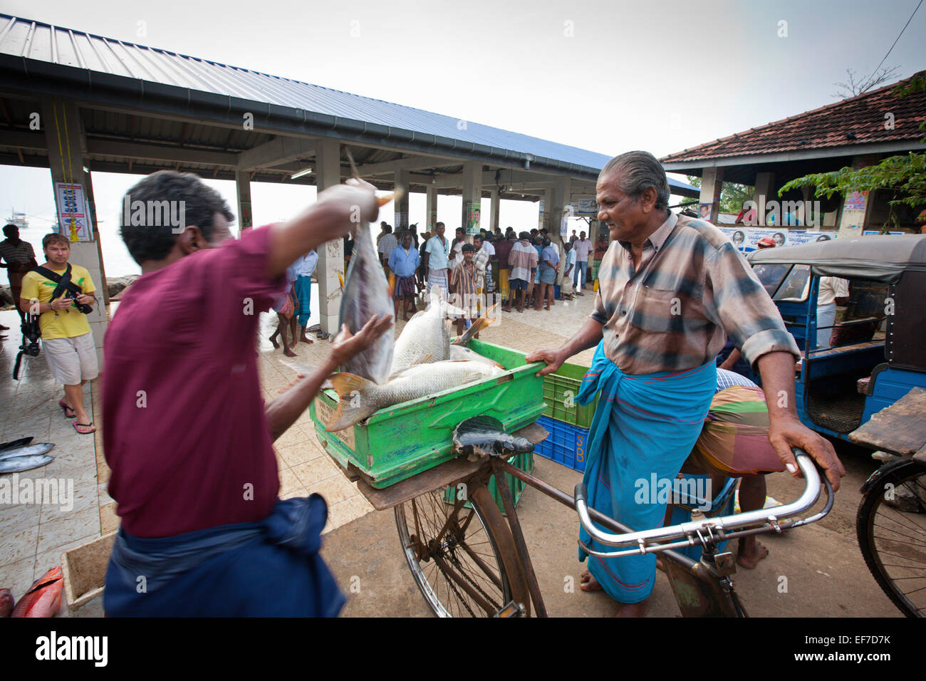 Fish trading hi-res stock photography and images - Alamy