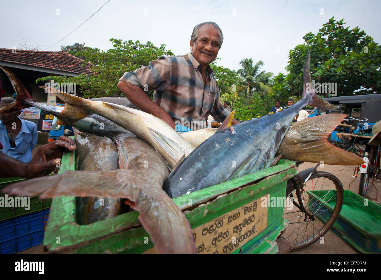 MAN BUYING FISH AT LOCAL FISH MARKET Stock Photo - Alamy