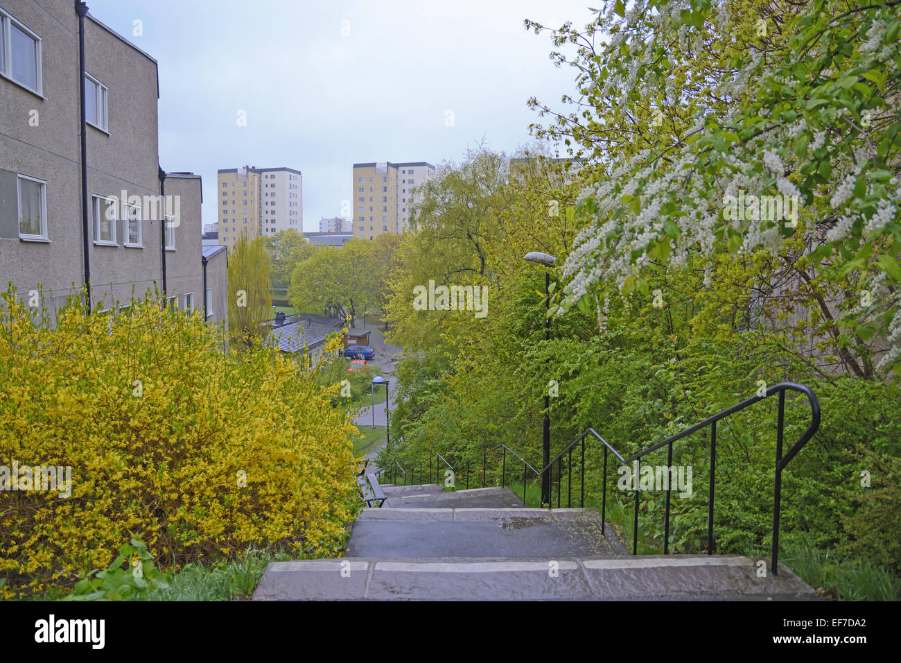 VALLINGBY, STOCKHOLM, SWEDEN ON MAY 8, 2014: Fifties architecture and ...