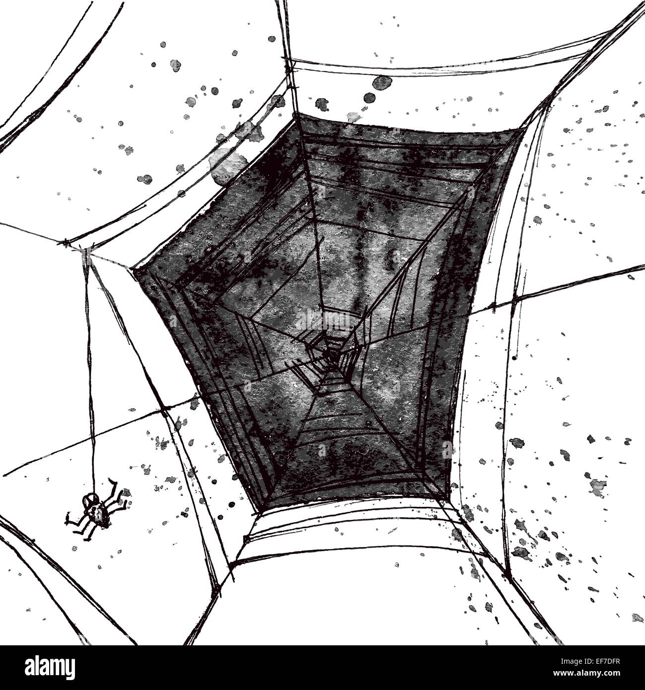 Vector hand pictured charcoal grunge black spiders web,isolated on the ...