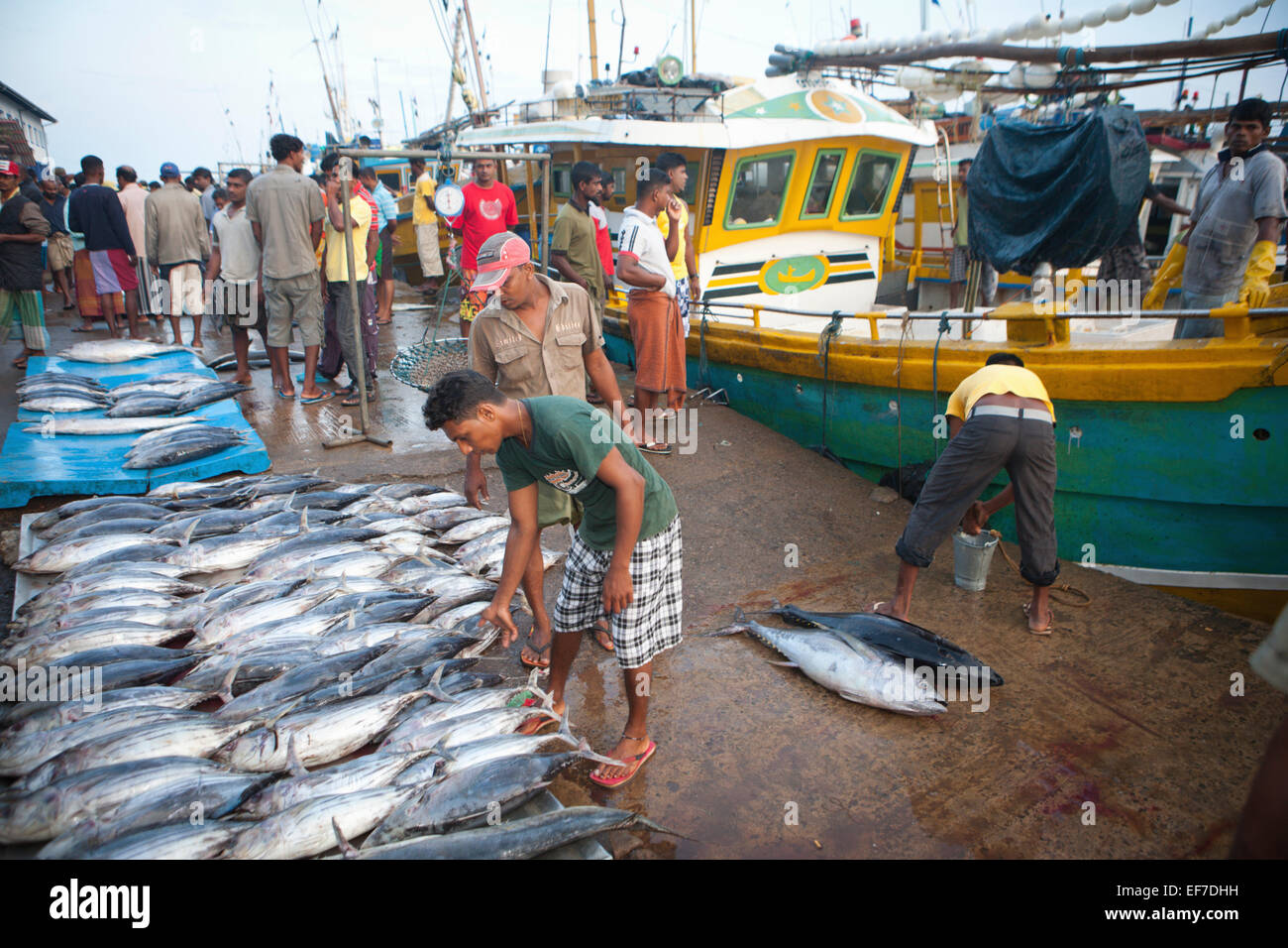 FISH MARKET AND LOCAL FISHERMEN Stock Photo - Alamy