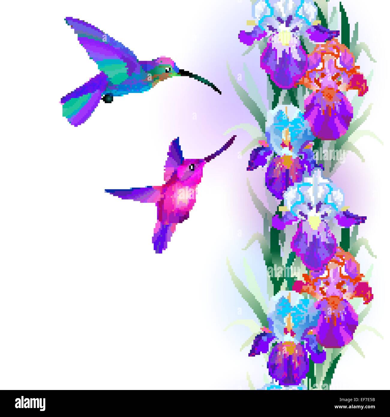 Vector seamless pattern with bright multicolored Iris flowers and ...