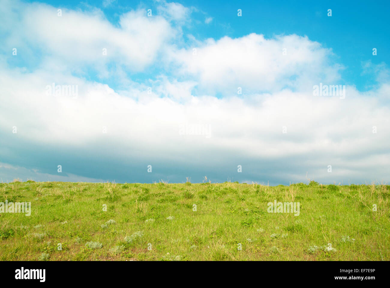 Green grass with blue sky and clouds Stock Photo - Alamy