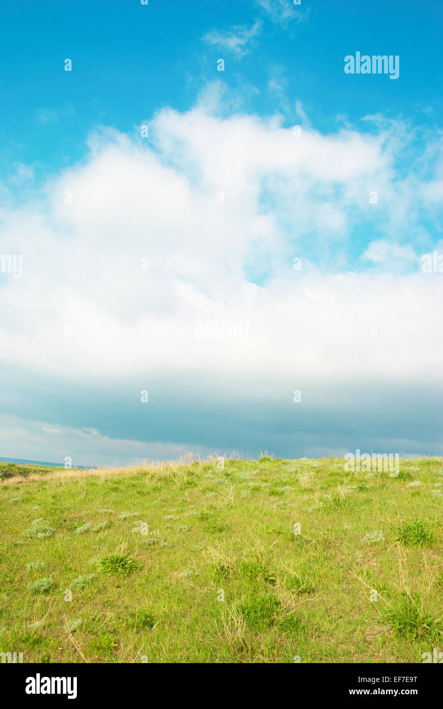 Green grass with blue sky and clouds Stock Photo - Alamy