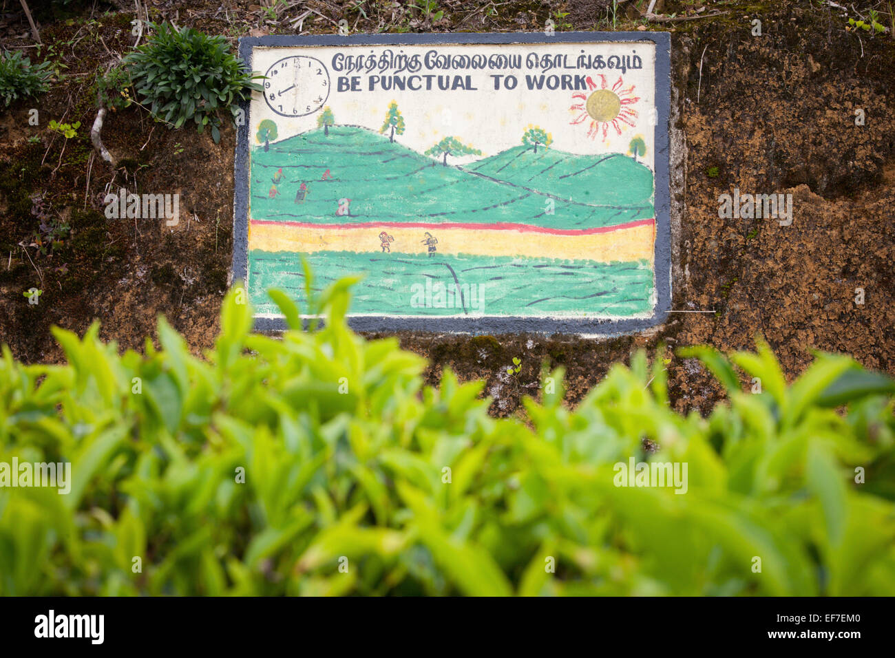 TEA PLANTATION SIGN; BE PUNCTUAL TO WORK Stock Photo - Alamy