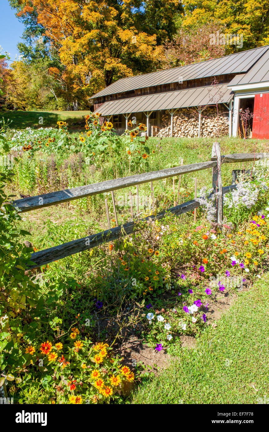 Colorful Autumn scenic of a country flower garden with a split rail ...