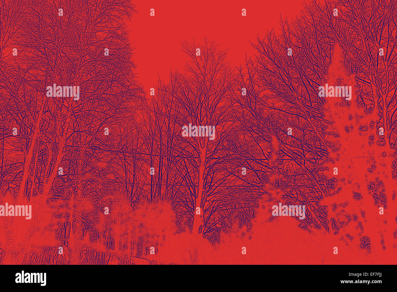 trees in front have turned red , sky turned red Stock Photo - Alamy
