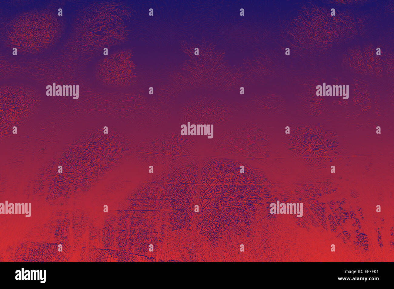 exposed toxic trees , red sky , trees out front gone mad Stock Photo ...