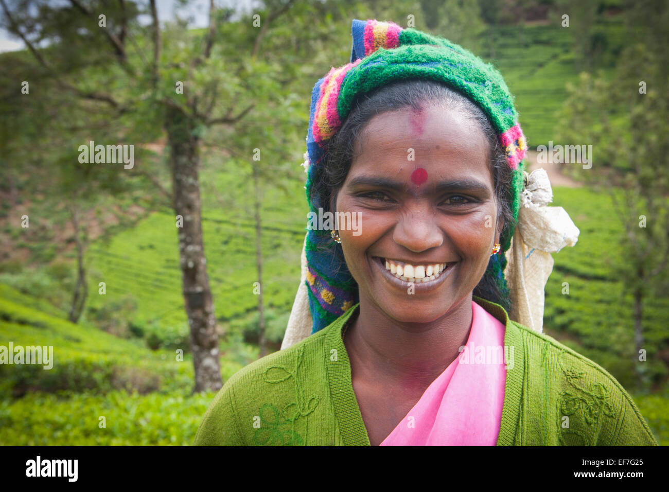 Portrait tea picker hi-res stock photography and images - Alamy