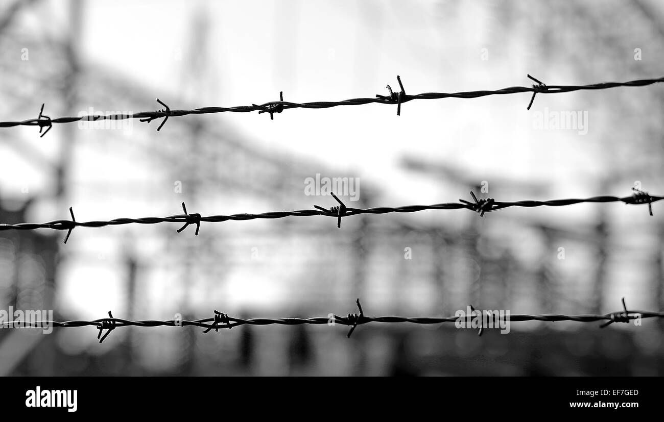 Demarcate